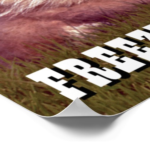 Caddyshack | Freeze, Gopher! Poster | Zazzle