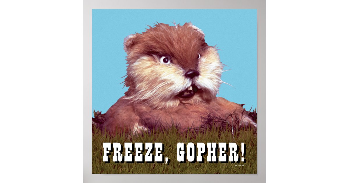 Caddyshack | Freeze, Gopher! Poster | Zazzle