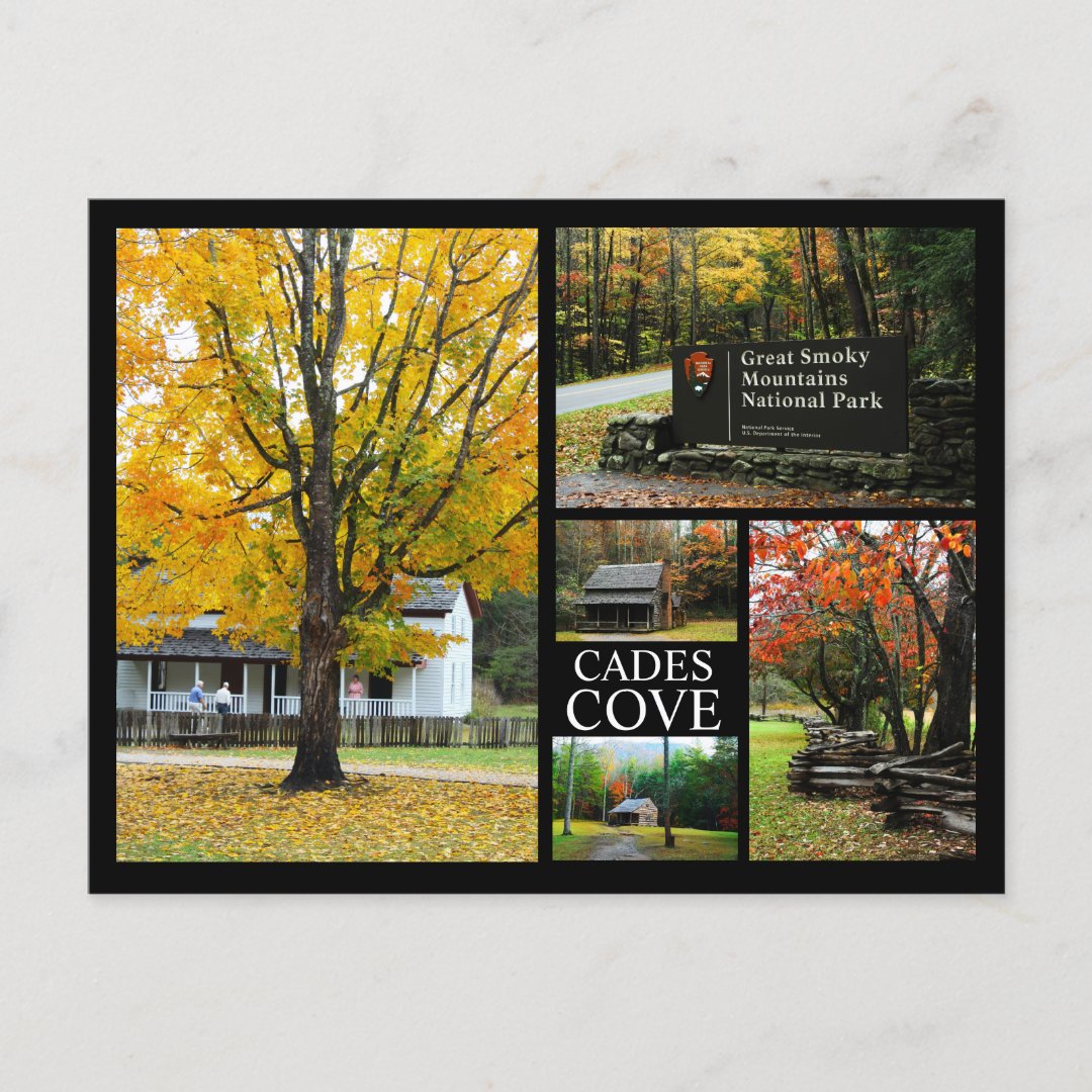 Cades Cove - Autumn Colors Photo Collage Postcard | Zazzle