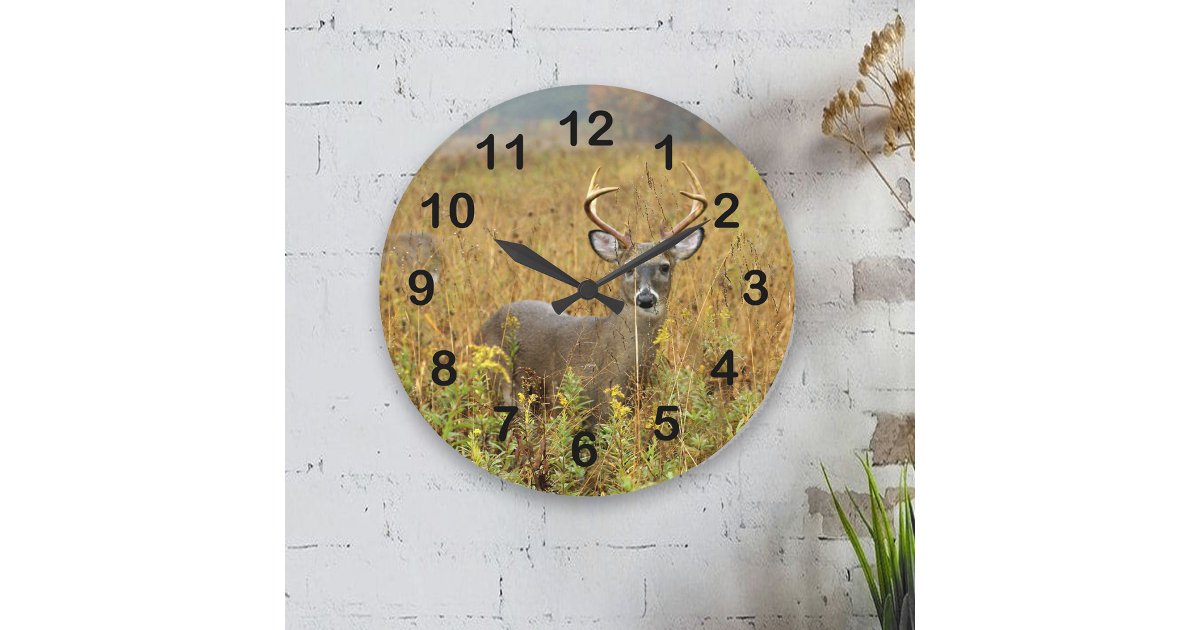 Cades Cove Whitetail Buck Wall Clock | Zazzle