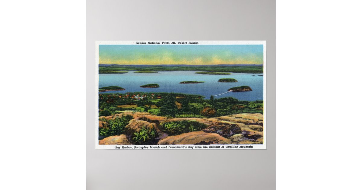 Cadillac Mt Summit View of Bar Harbor Poster | Zazzle