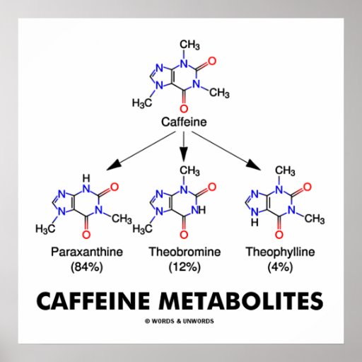 Caffeine Metabolites (Caffeine Molecule Chemistry) Poster | Zazzle