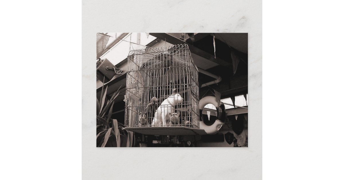 Caged Beasts Postcard | Zazzle