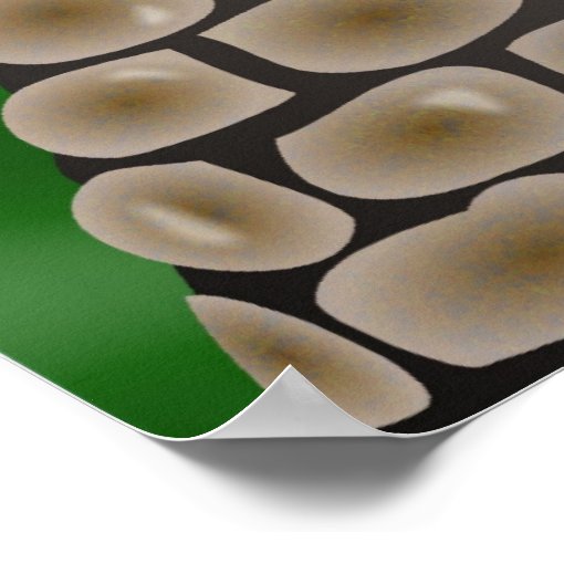 cain-and-abel poster | Zazzle