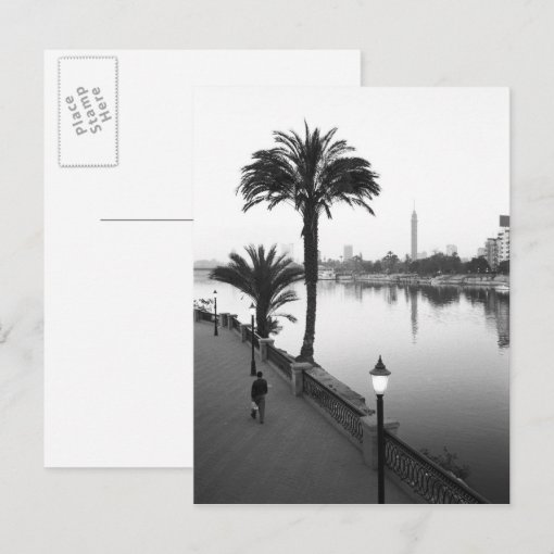 Cairo Egypt, Along the Nile River Postcard | Zazzle