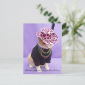 Cajun Bubba Kitty Postcard | Zazzle