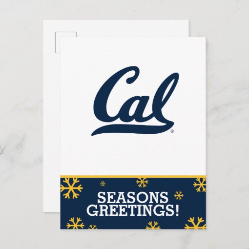 Cal Blue Script Holiday Postcard | Zazzle