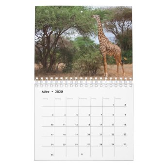 calendar giraffe | Zazzle