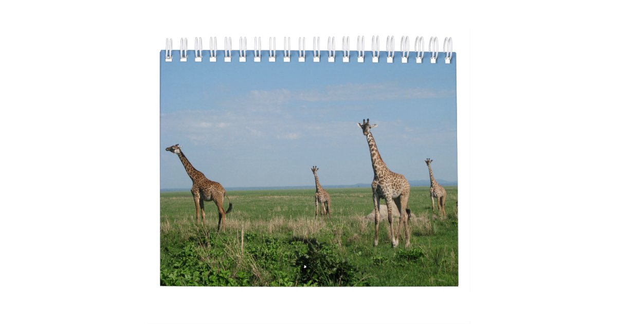 calendar giraffe | Zazzle