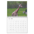 calendar giraffe | Zazzle