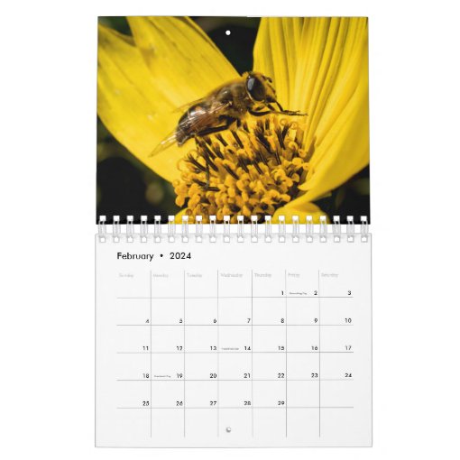Calendar Honey and Bumble Bees | Zazzle