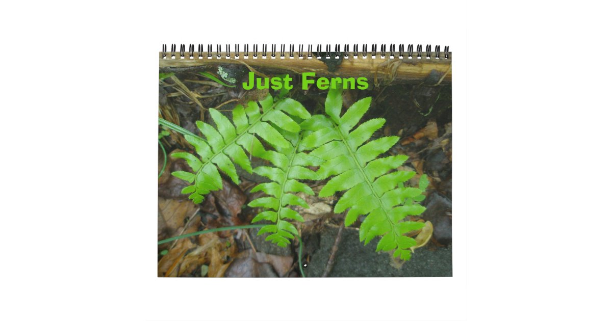 Calendar - Just Ferns | Zazzle