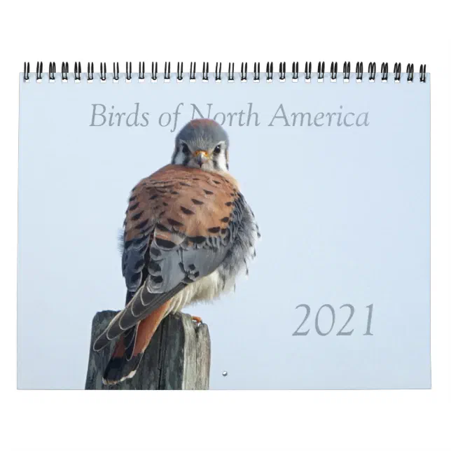 Calendar - Photos of North American Birds | Zazzle