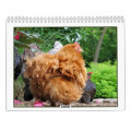 Calendar: The Chicken Chick's Flock Calendar | Zazzle
