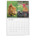 Calendar: The Chicken Chick's Flock Calendar | Zazzle