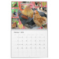 Calendar: The Chicken Chick's Flock Calendar | Zazzle