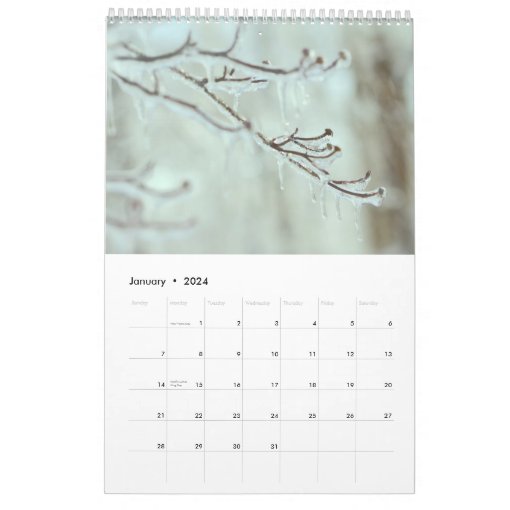 Calendar - Trees #1 | Zazzle