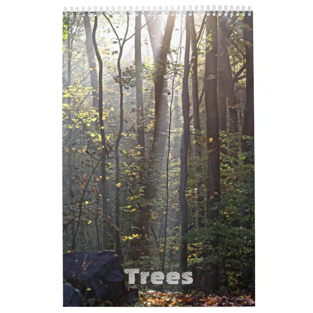 Calendar - Trees #1 | Zazzle
