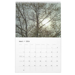 Calendar - Trees #1 | Zazzle