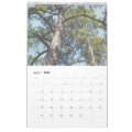 Calendar - Trees #1 | Zazzle