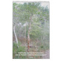 Calendar - Trees #1 | Zazzle