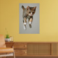 Calico Cat Jumping Poster | Zazzle