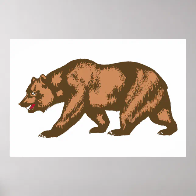 California Bear Poster | Zazzle