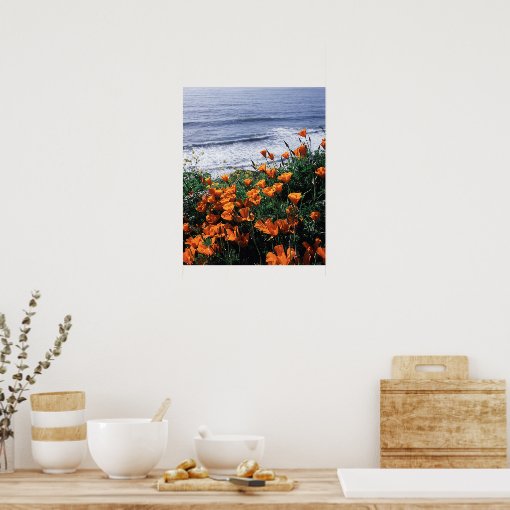 California, Big Sur Coast, California Poppy Poster | Zazzle