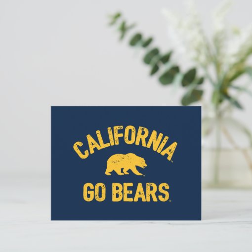 California Go Bears Gold Postcard | Zazzle
