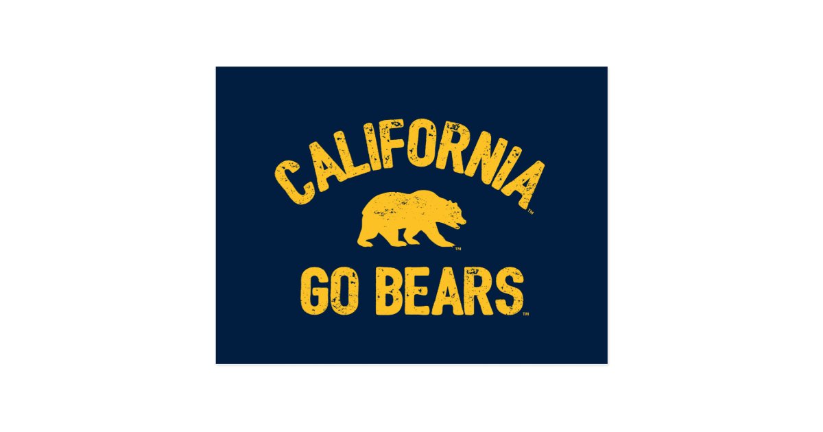 California Go Bears Gold Postcard | Zazzle.com