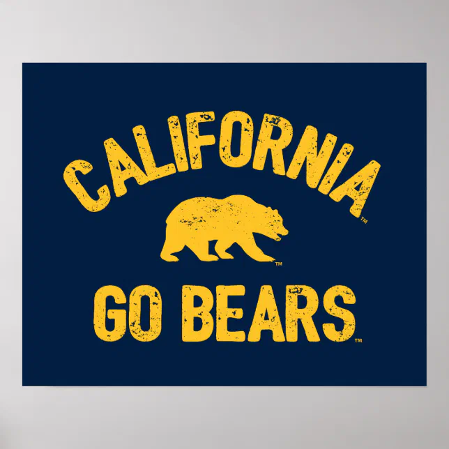 California Go Bears Gold Poster | Zazzle