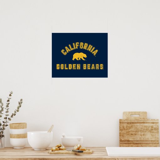 California Golden Bears Poster | Zazzle
