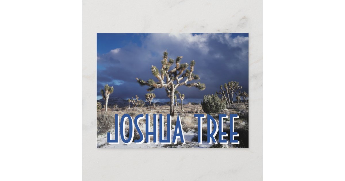 California, Joshua Tree National Park Postcard | Zazzle