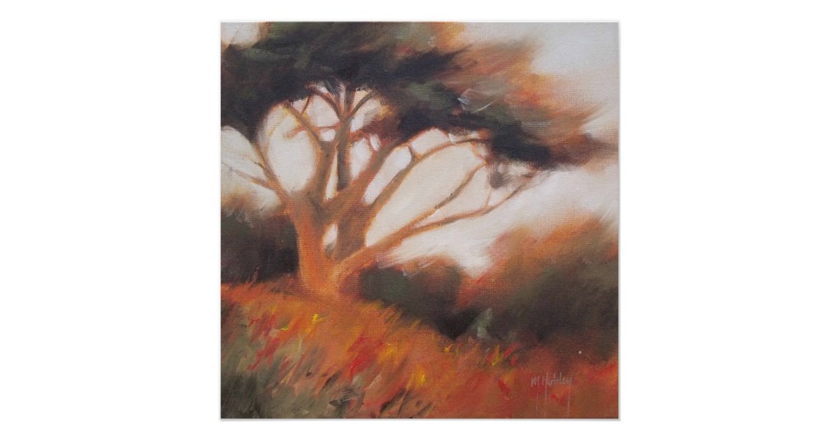 California Monterey Cypress Trees Poster | Zazzle