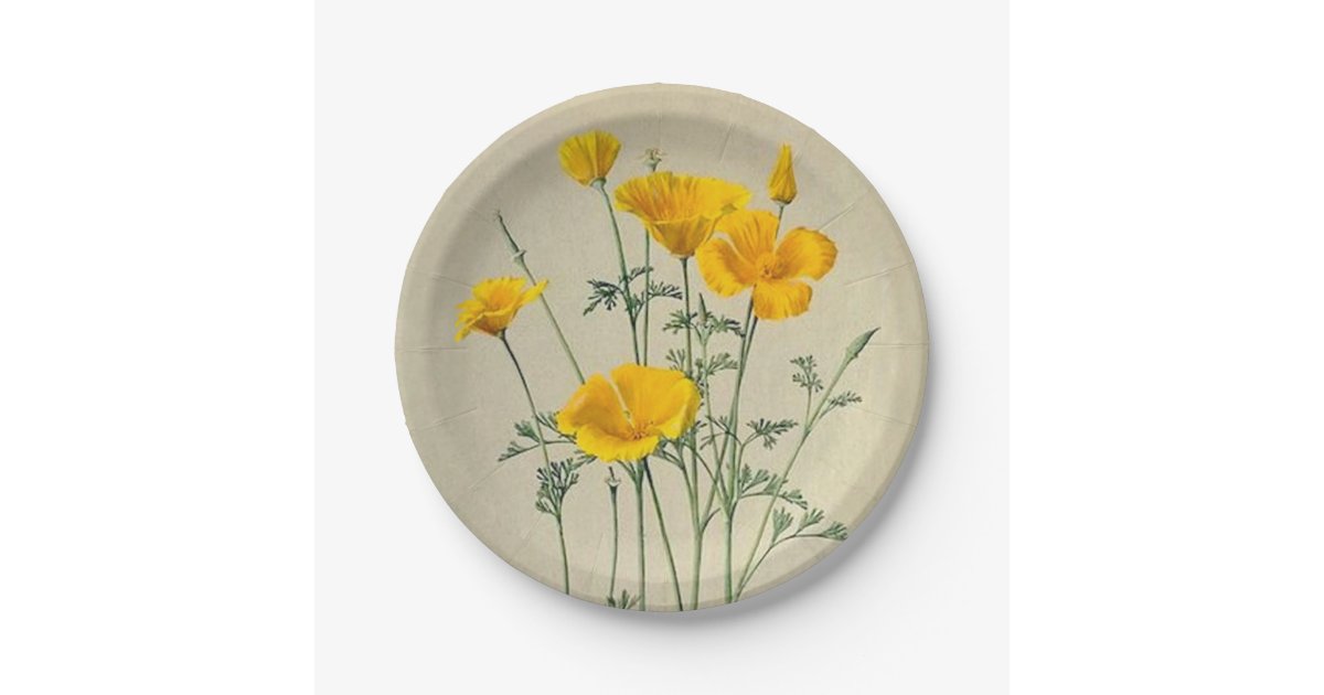California Poppies Paper Plates | Zazzle