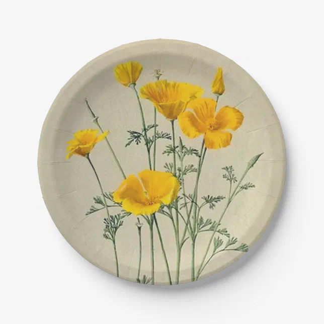 California Poppies Paper Plates | Zazzle