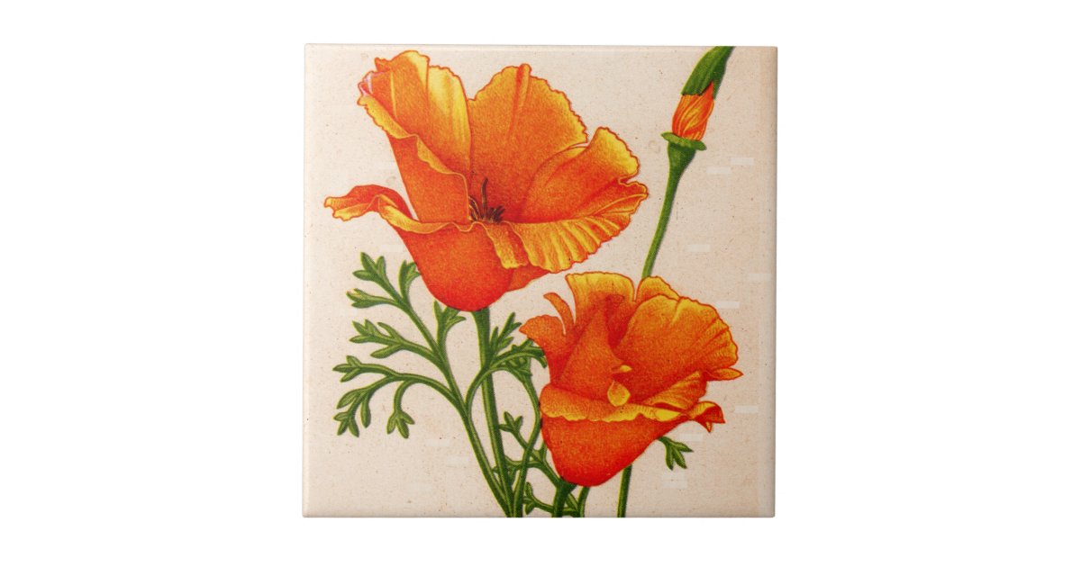 California poppy California poppies in orange Ceramic Tile | Zazzle