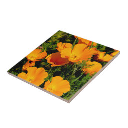 "California Poppy" Ceramic Tile | Zazzle