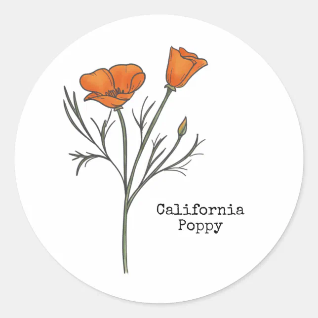 California Poppy Classic Round Sticker | Zazzle