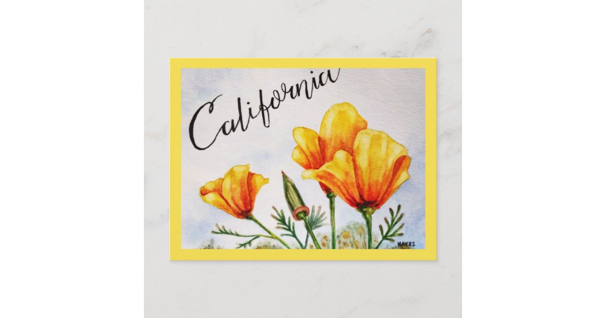 California Poppy Postcard | Zazzle