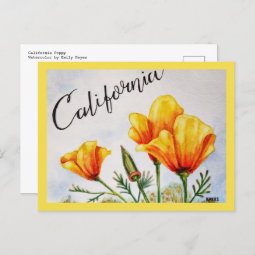 California Poppy Postcard | Zazzle