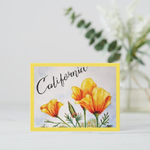 California Poppy Postcard | Zazzle