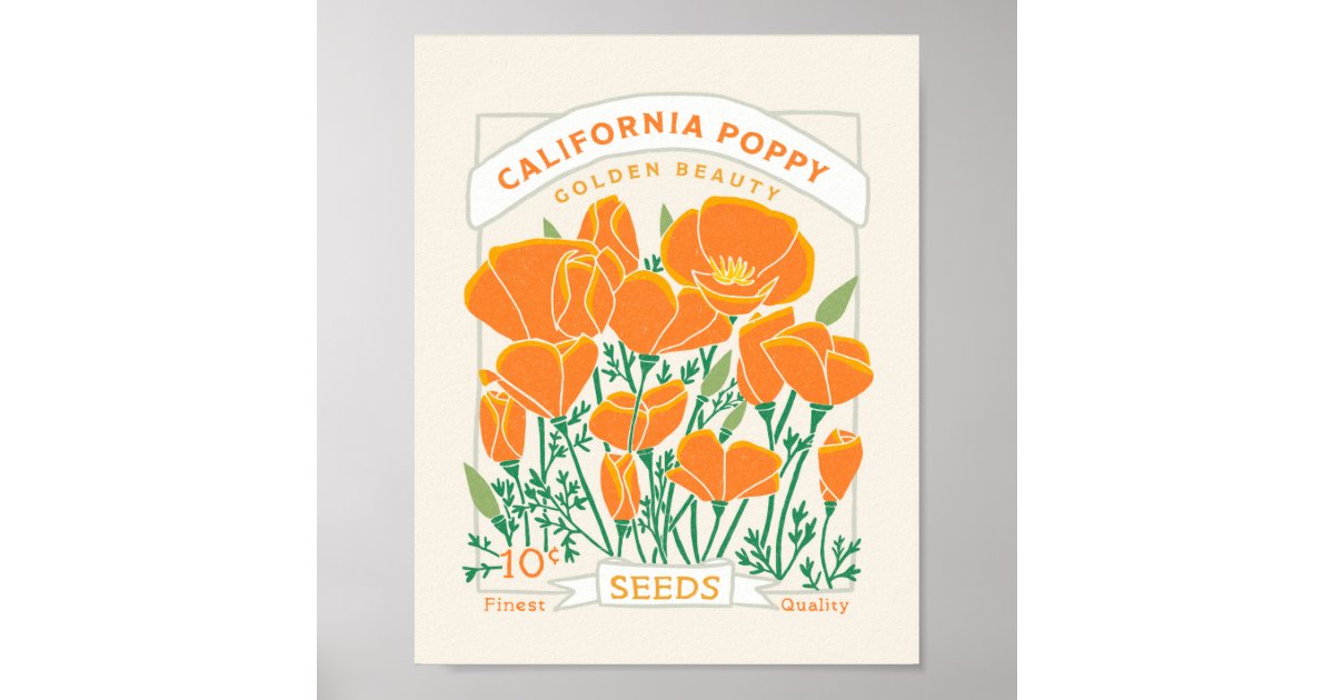 California Poppy Poster | Zazzle