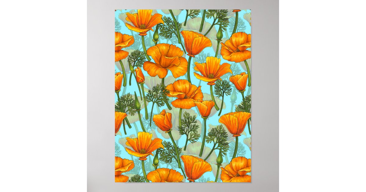 California poppy poster | Zazzle