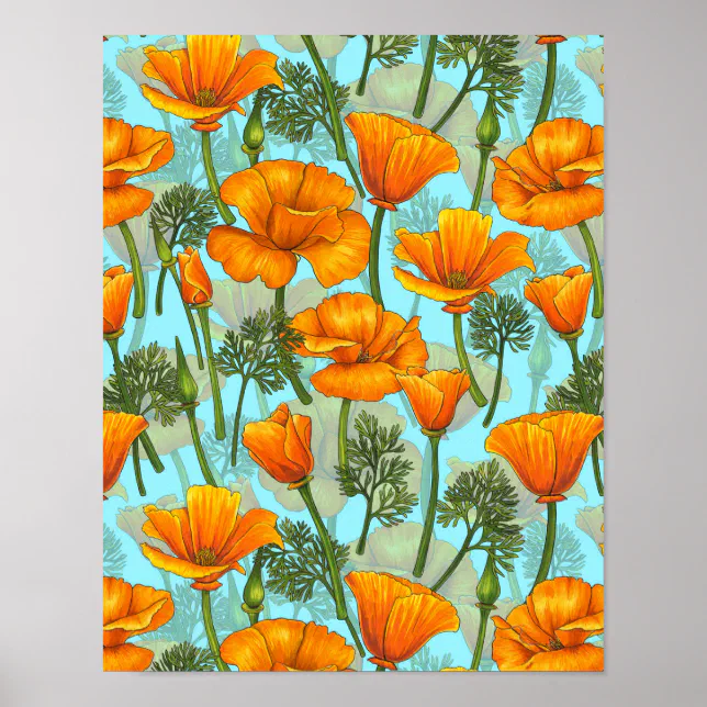 California poppy poster | Zazzle
