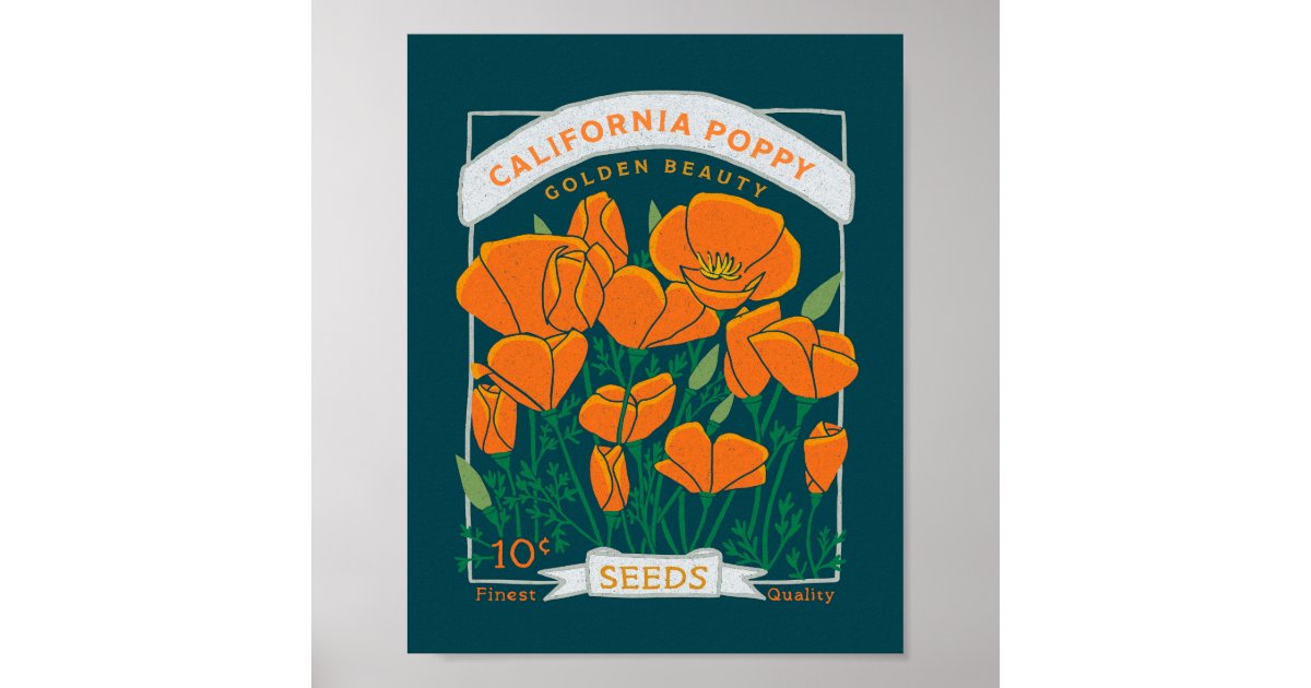 California Poppy Poster (dark background) | Zazzle