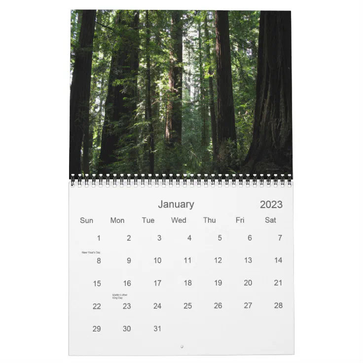 California Redwoods 2012 calendar | Zazzle