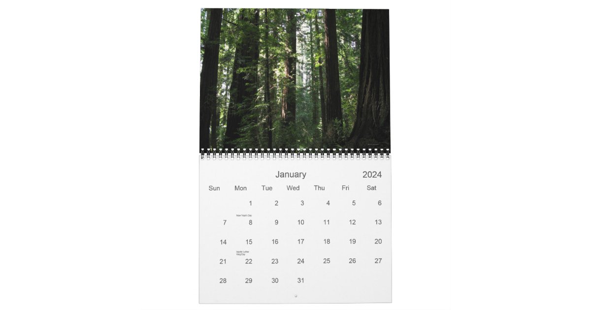 California Redwoods 2012 calendar | Zazzle