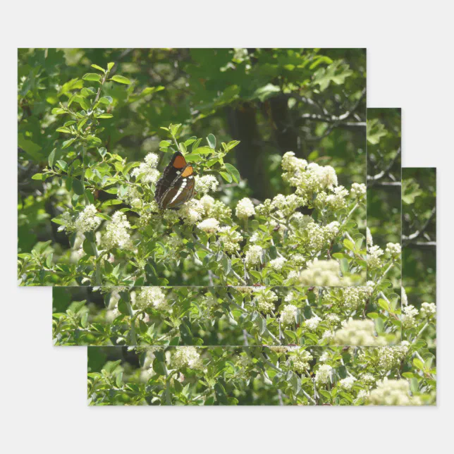 California Sister Butterfly in Yosemite Wrapping Paper Sheets | Zazzle