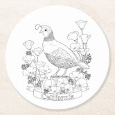 california state bird coloring page